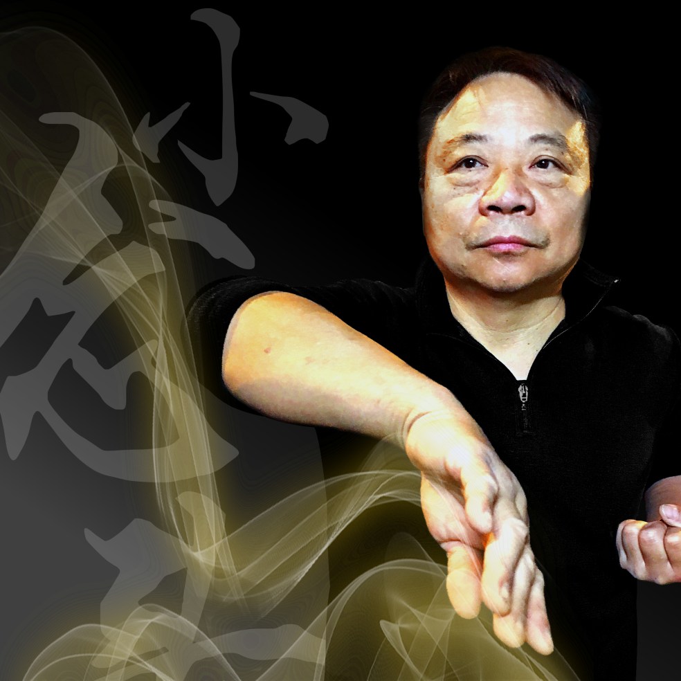 詠春套路 Wing Chun Forms – 陸志靈詠春武術學會